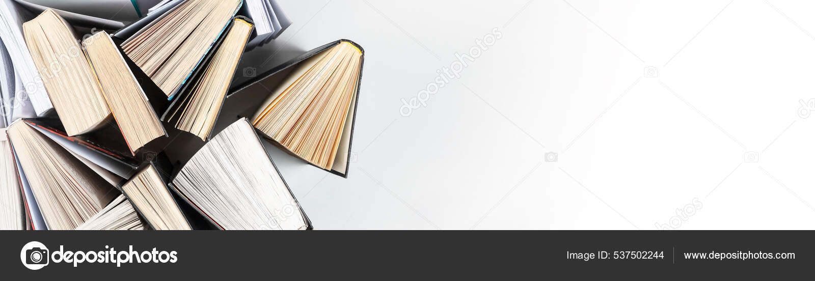 Dummy Collection - intelecto.com.co